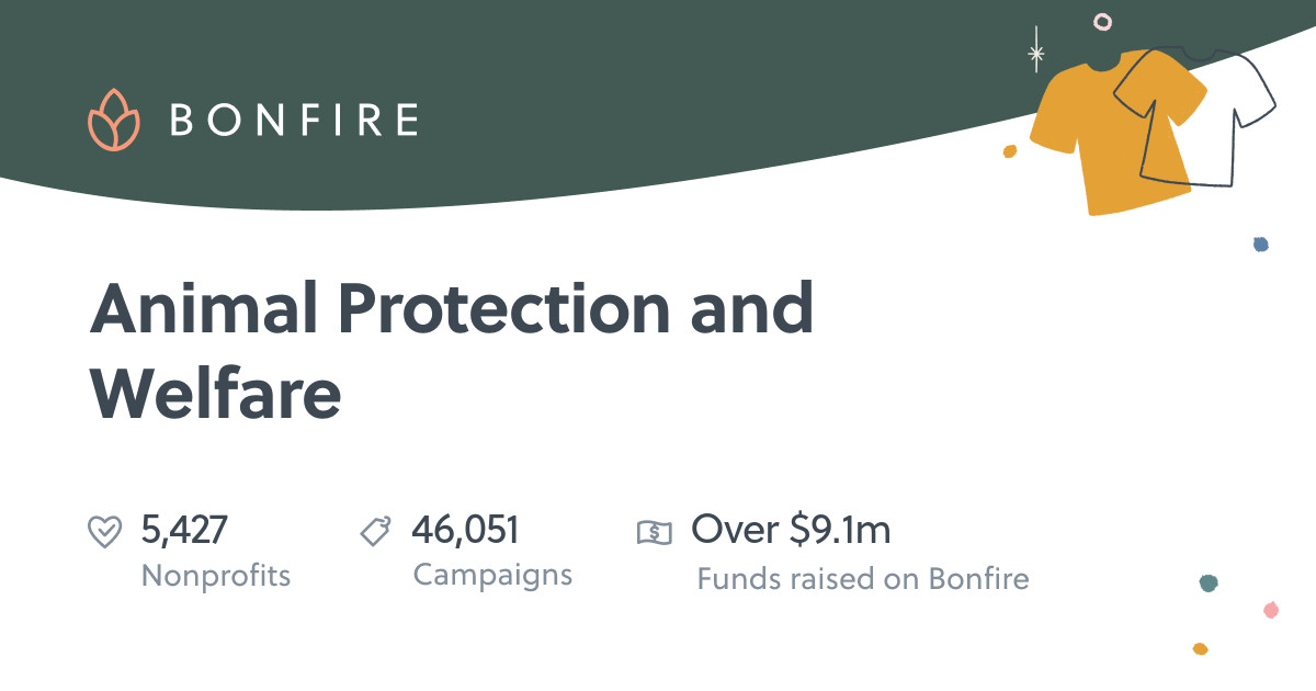 Animal Protection & Welfare Organizations | Bonfire