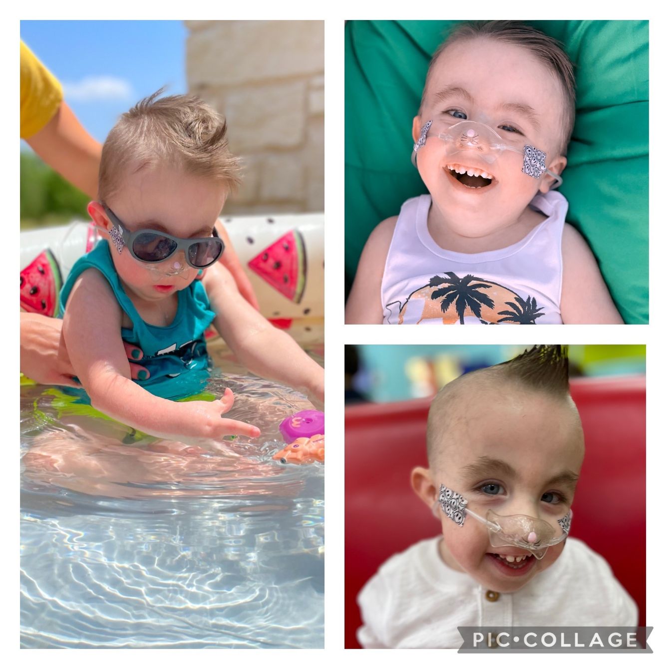 Wild FOUR Asher | Bonfire