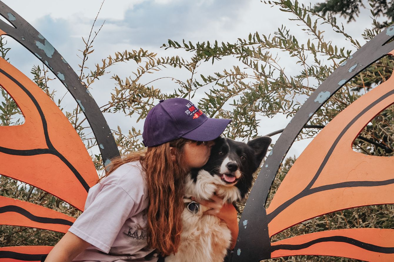 Fireball Dog Gear | Bonfire