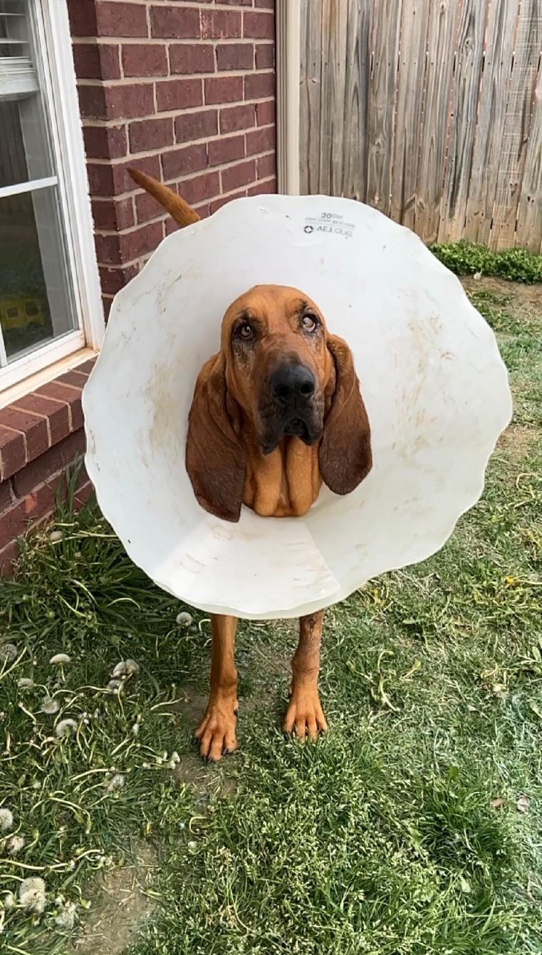 Jump into Spring! | Bonfire