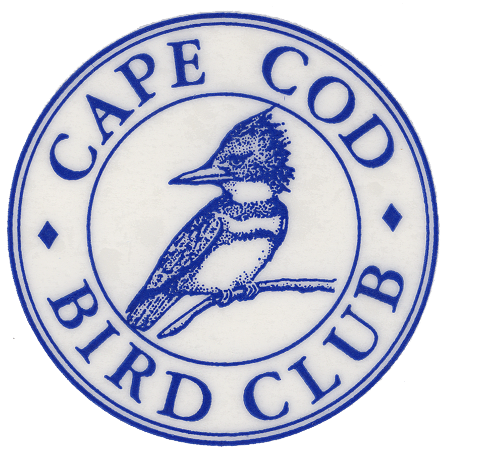 Cape Cod Bird Club | Bonfire