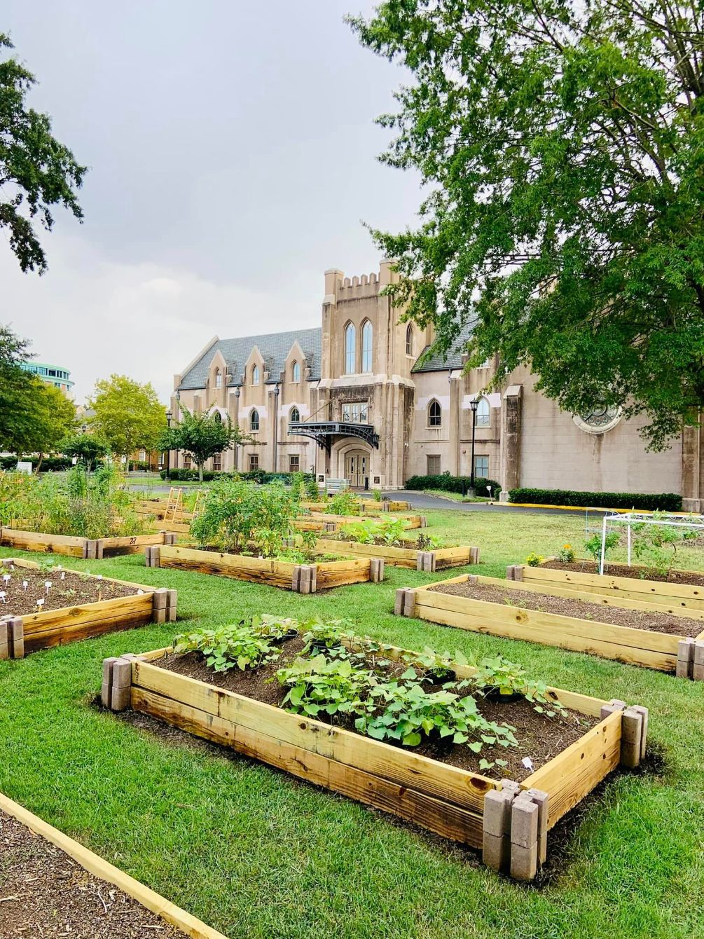 🌱 Downtown Norfolk Community Garden 🌱 | Bonfire