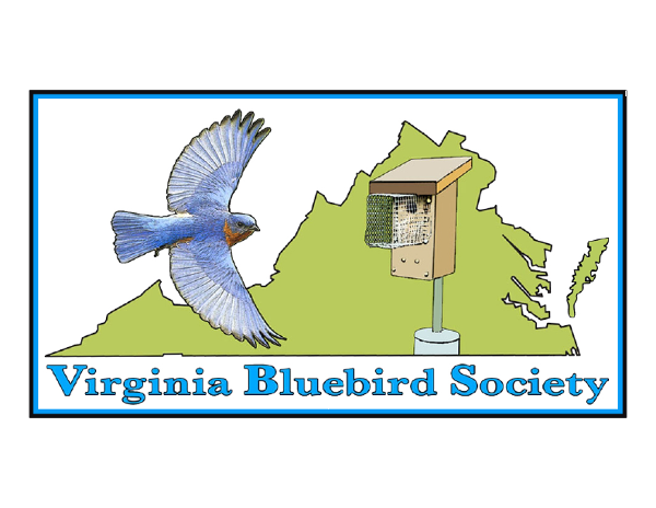 Virginia Bluebird Society | Official Merchandise | Bonfire
