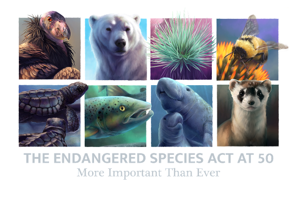 Endangered Species Act Esa Logo