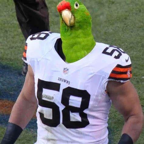 The Official Afferdin Store | Official Merchandise | Bonfire