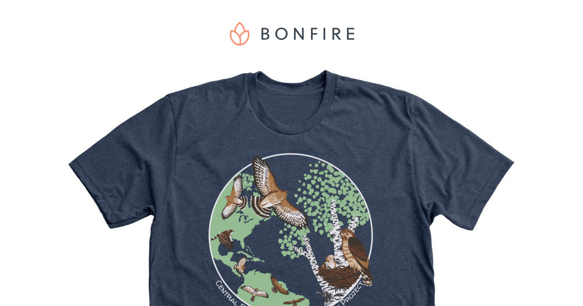 Central Flyway Broad-winged Hawk Project | Bonfire