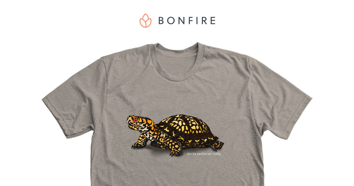 Otis the Eastern Box Turtle | Bonfire